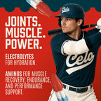 Natural ingredients in Amino Energy Powder