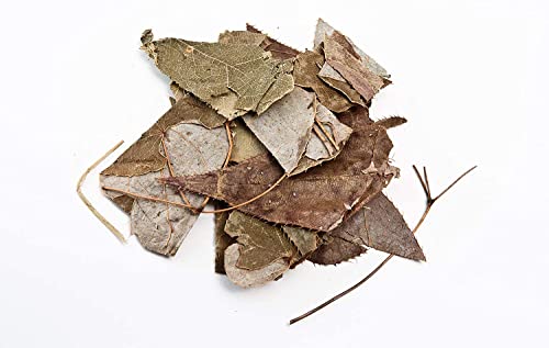 natural ingredients in Dragon Herbs Women's Jing