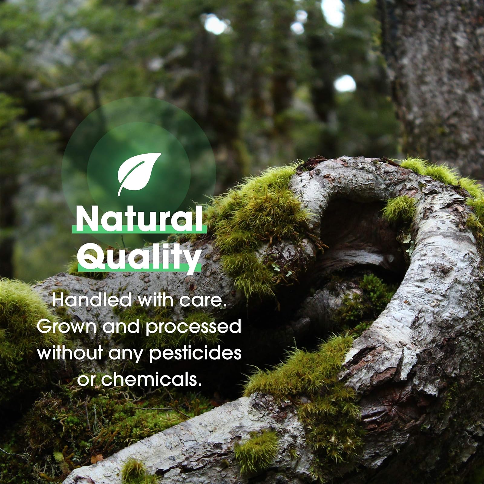 Natural ingredients in Herba-V capsules