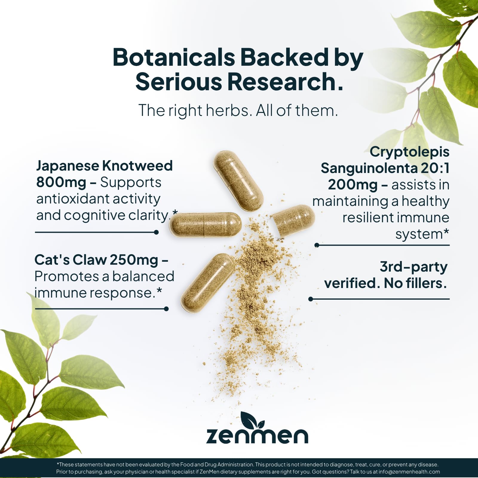 natural ingredients in immune support supplements