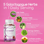 natural ingredients in lactation gummies