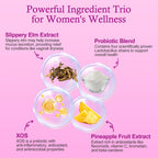 Natural ingredients in probiotic gummies