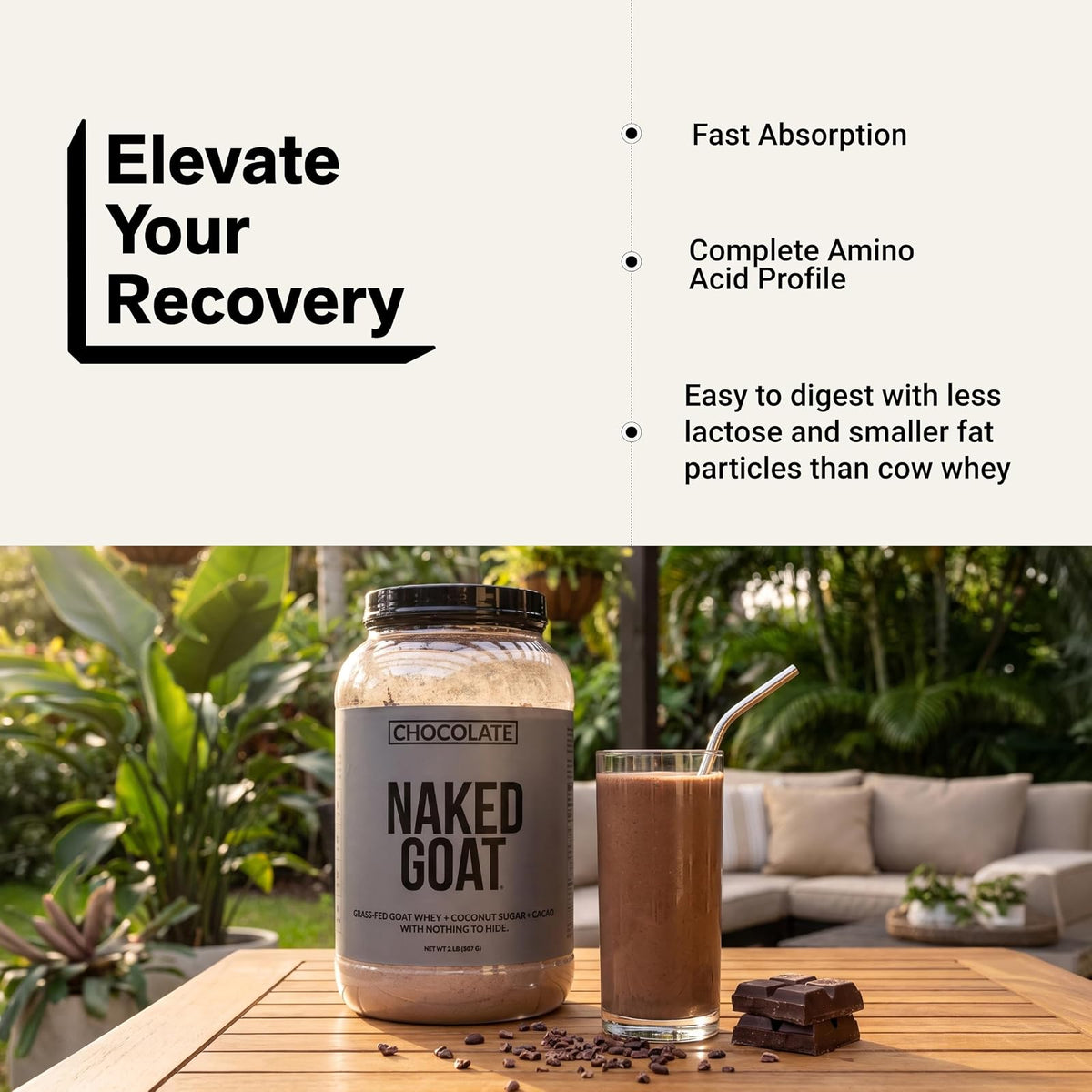 natural ingredients whey protein powder
