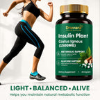 natural insulin plant supplement benefits