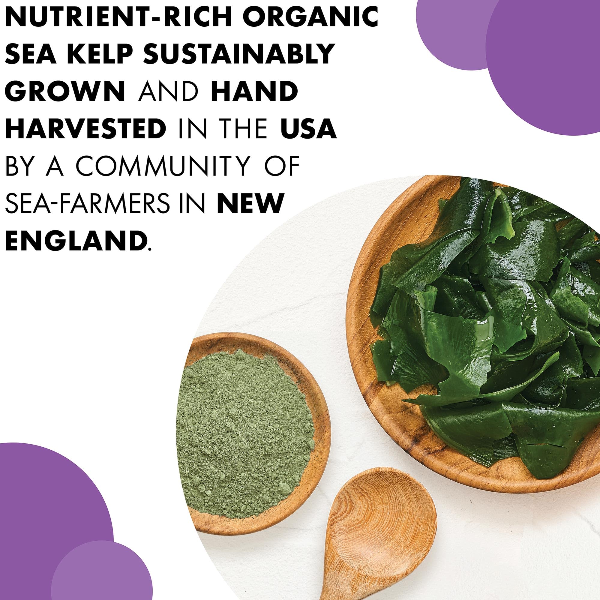 natural iodine from Atlantic sea kelp