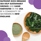 natural iodine from sea kelp