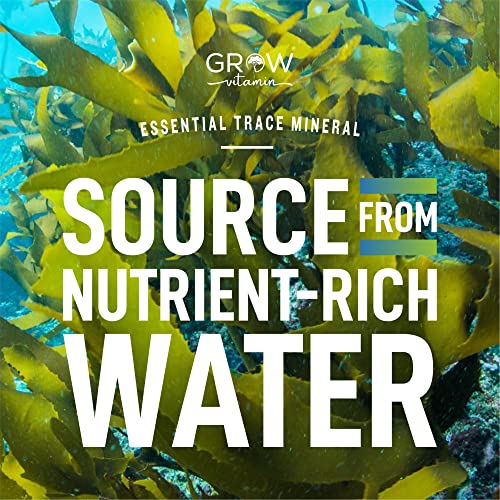 natural iodine source for metabolism