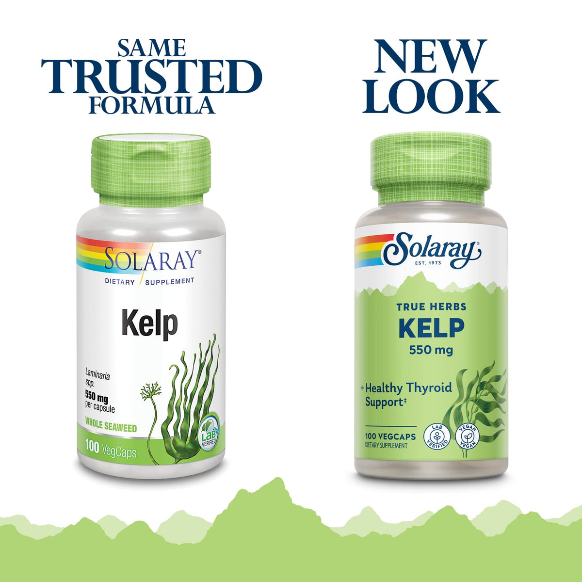 natural iodine source for thyroid health