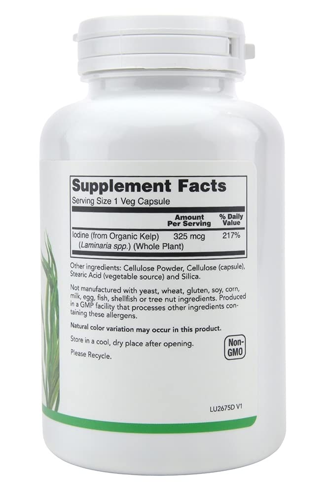 natural iodine source for thyroid support
