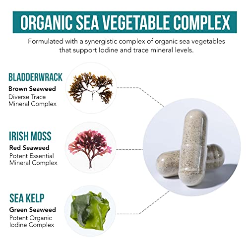 natural iodine source for thyroid support