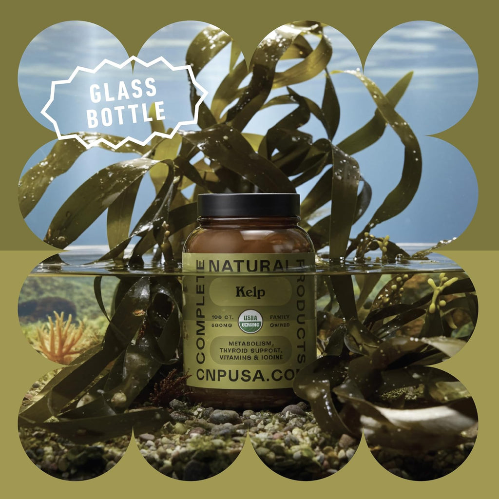 Natural iodine source from Icelandic sea kelp