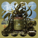 Natural iodine source from Icelandic sea kelp