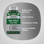natural iodine source from sea kelp