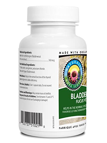 natural iodine supplement benefits
