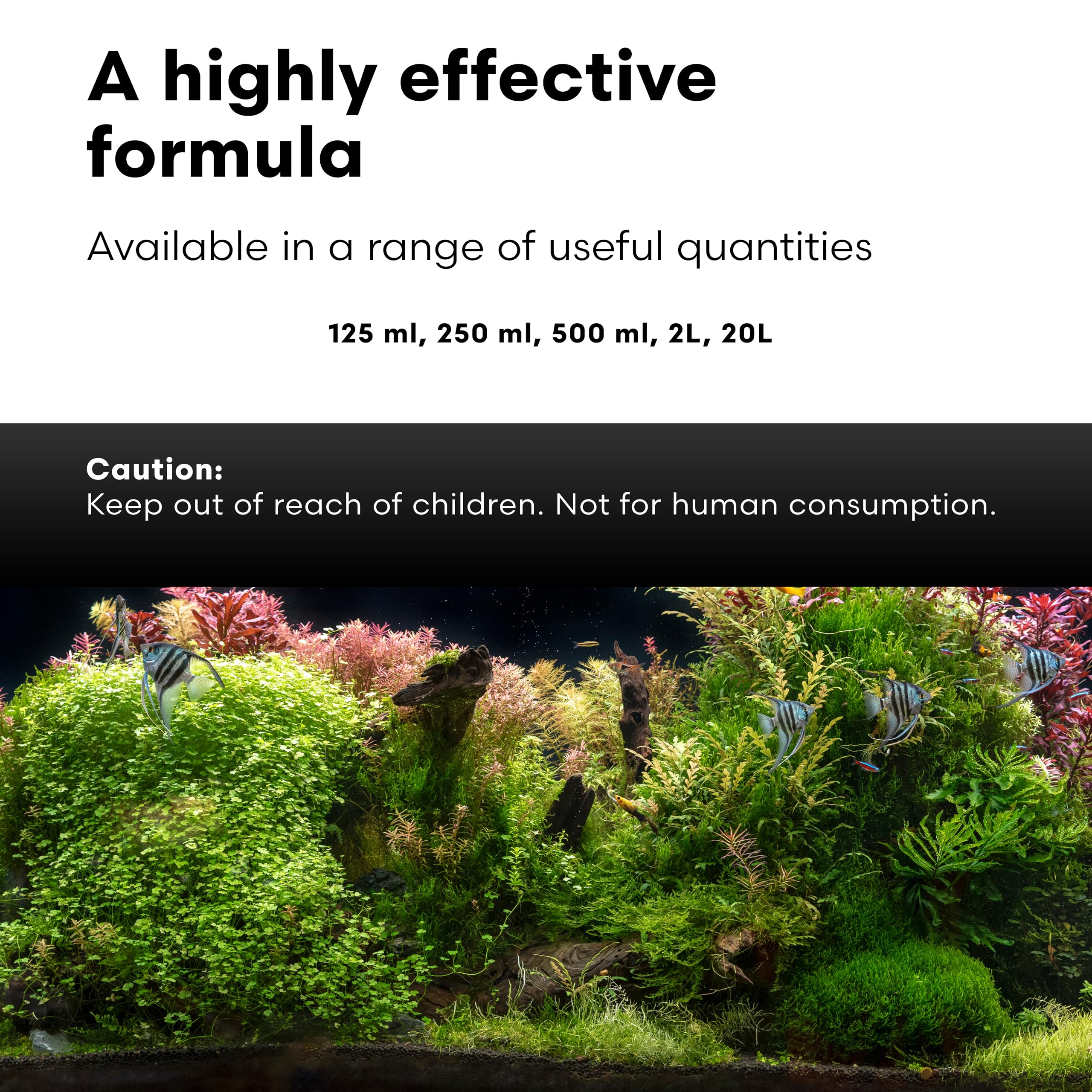 Natural iodine supplement for aquatic pets