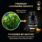 Natural iodine supplement for immune function