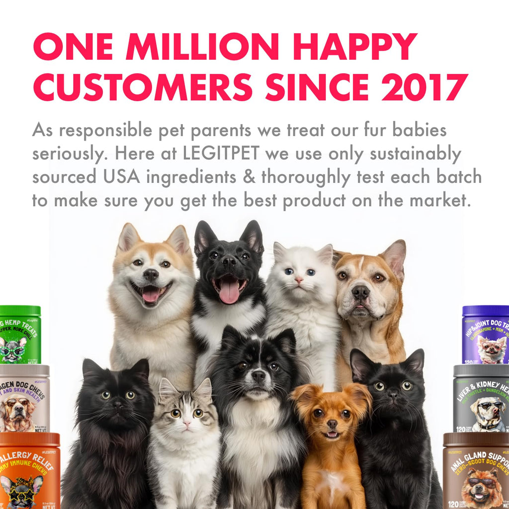 natural iron boost for dogs
