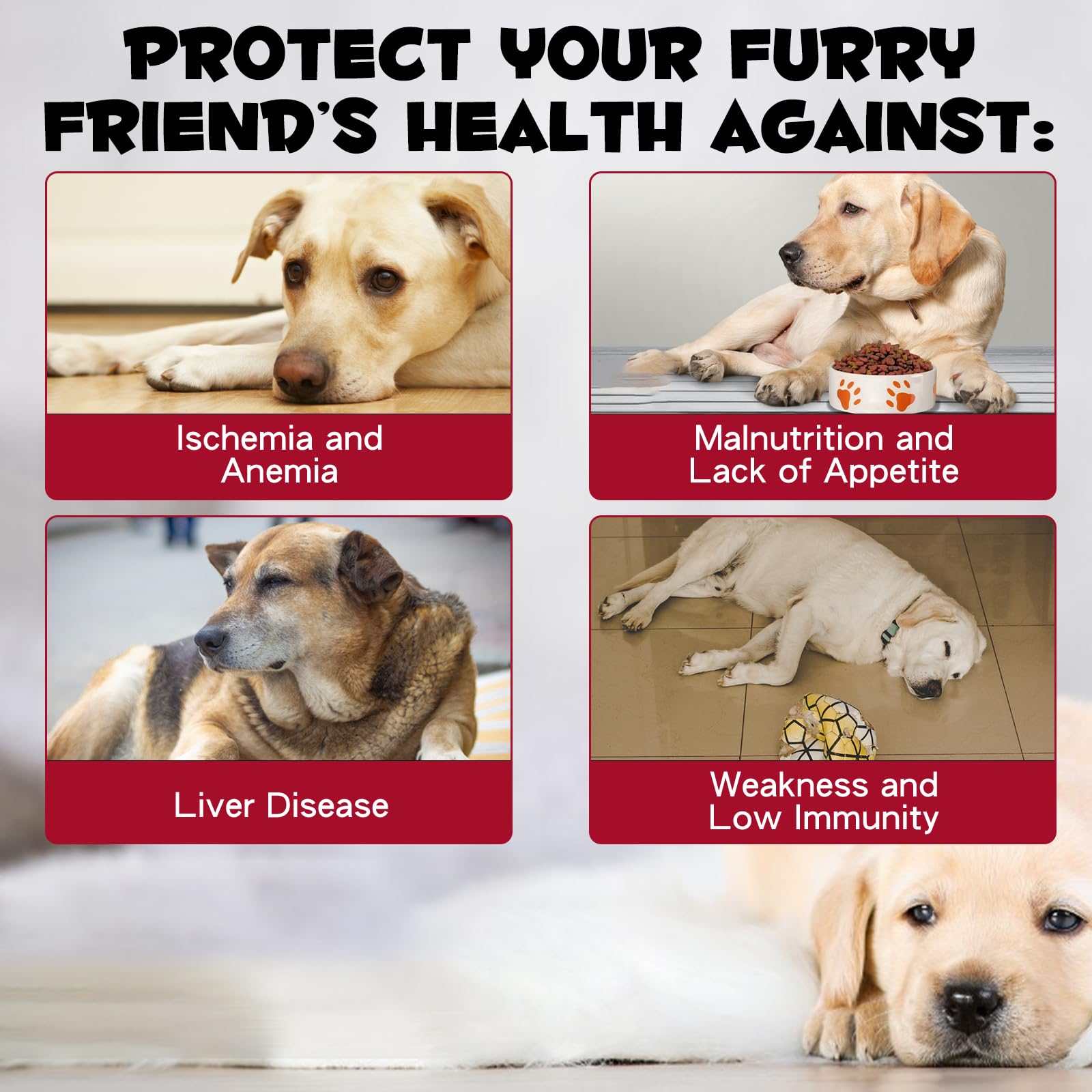 natural iron solution for pets