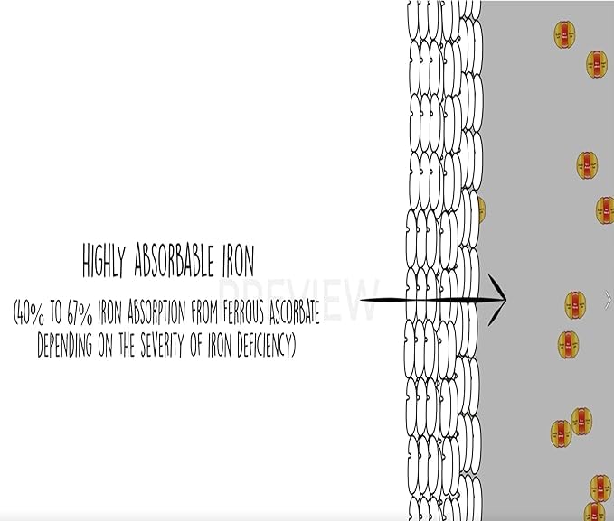 natural iron source for daily health
