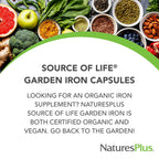natural iron source for energy