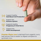 natural iron source for energy