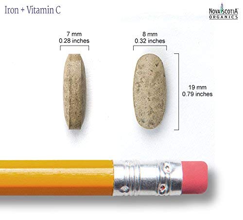natural iron source for vegans