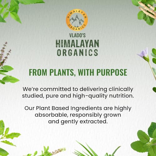 natural iron source for vitality