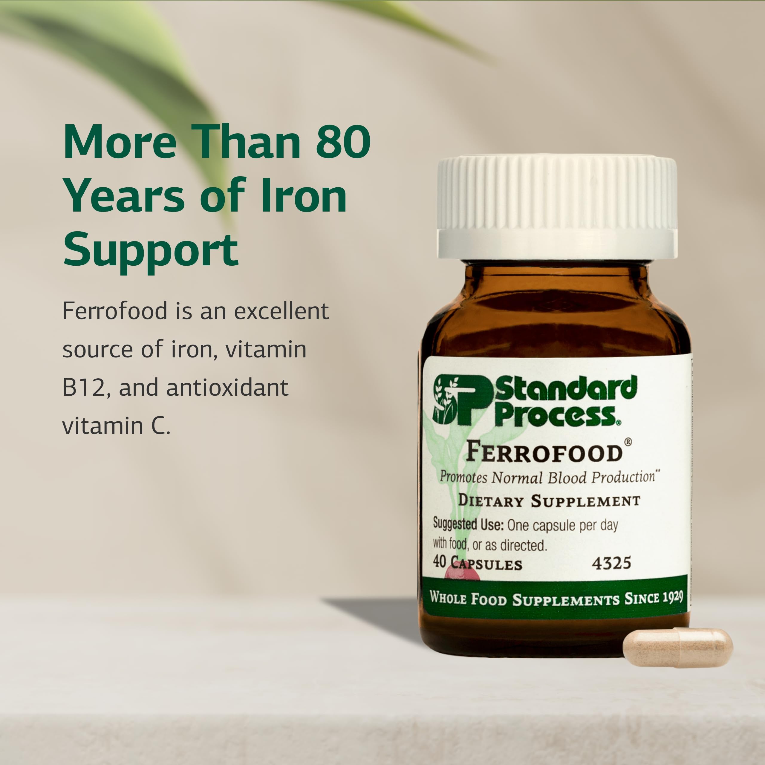 Natural iron supplement for energy