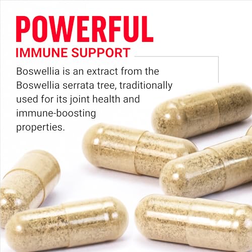 natural joint health supplement for men
