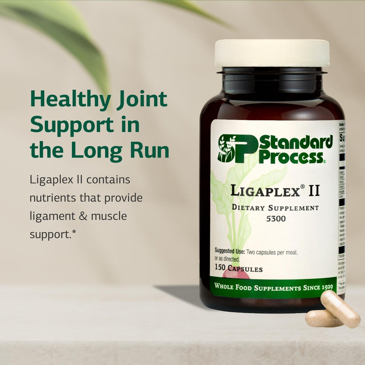 natural joint health supplement