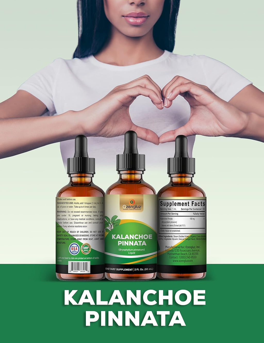 natural Kalanchoe glycerite benefits