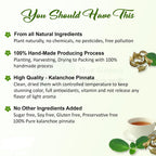 Natural Kalanchoe leaves powder for health