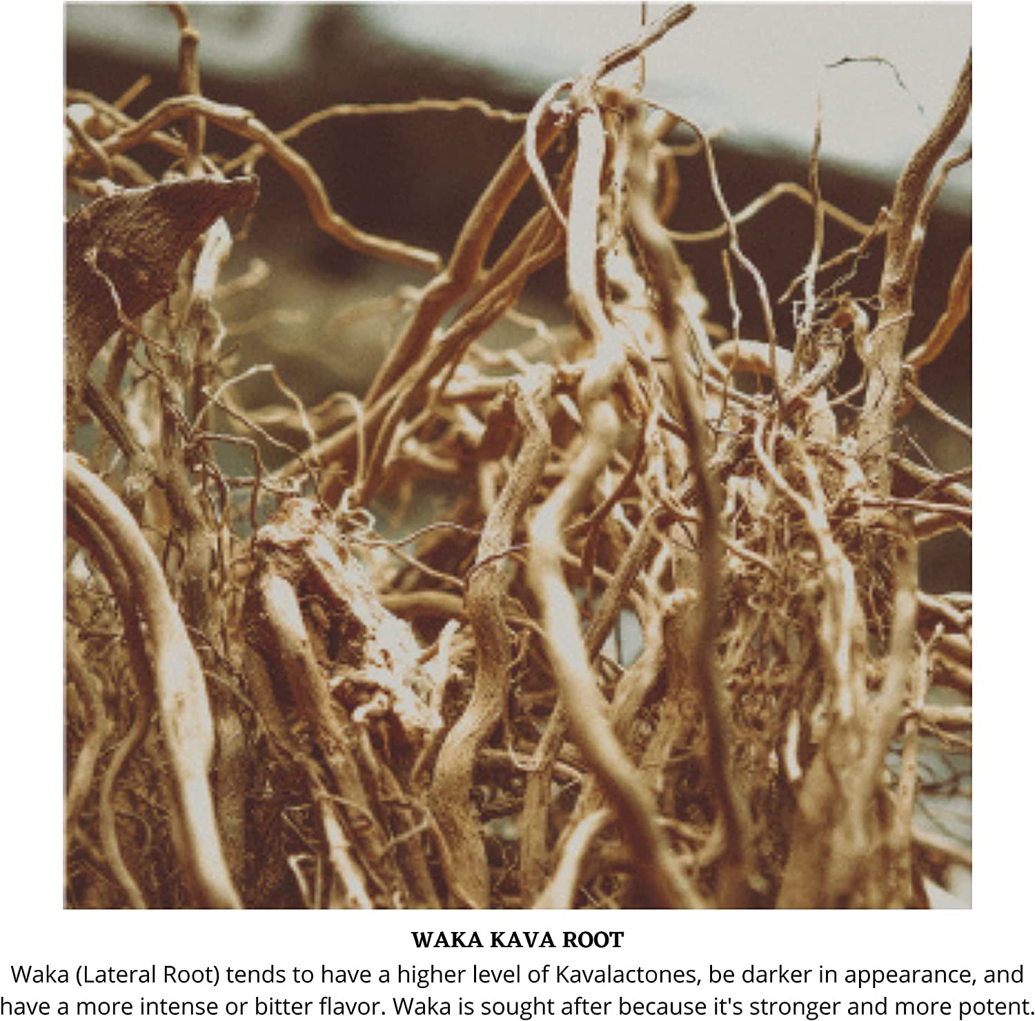 Natural kava kava for wellness