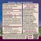 natural kidney cleanse solution