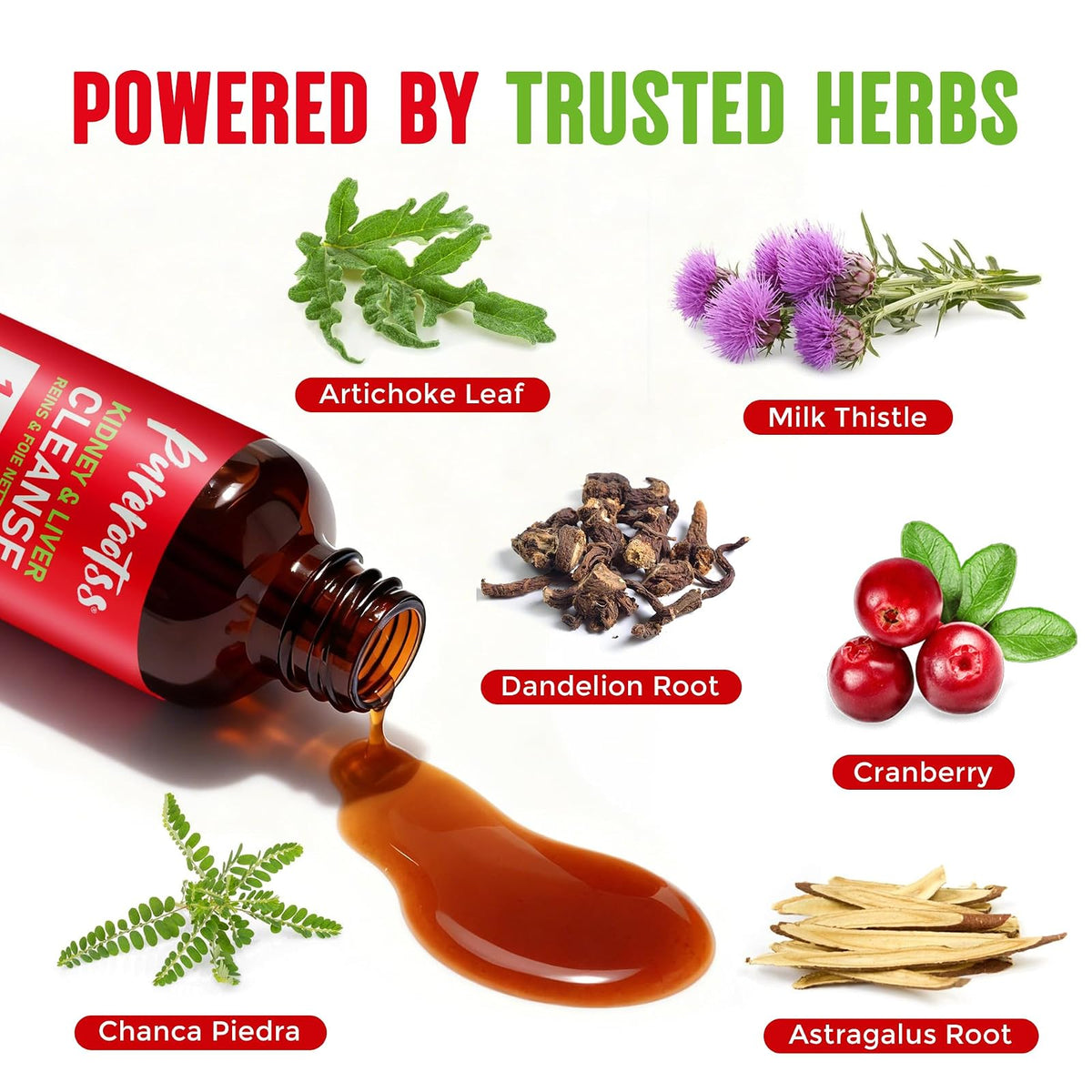 natural kidney cleanse with Chanca Piedra