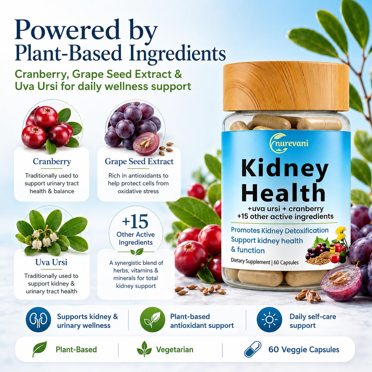 natural kidney function booster