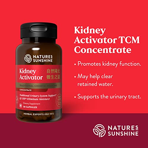 Natural kidney function enhancer