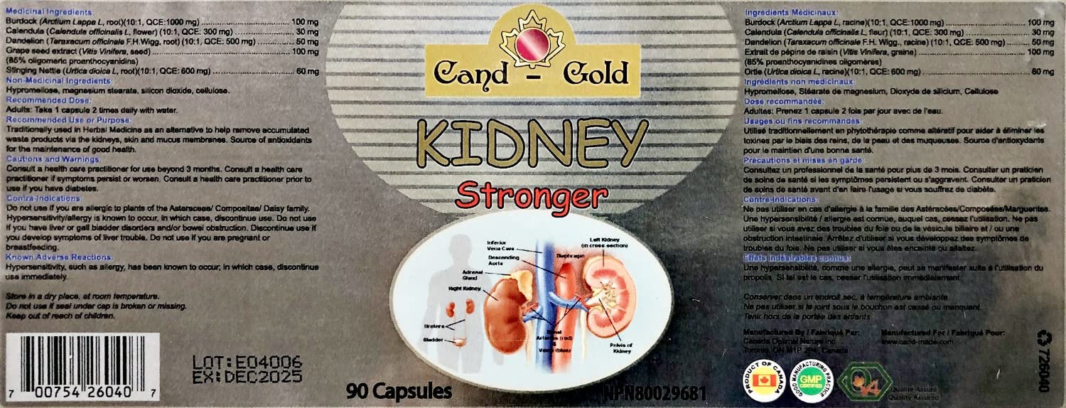 natural kidney health supplements for wellness