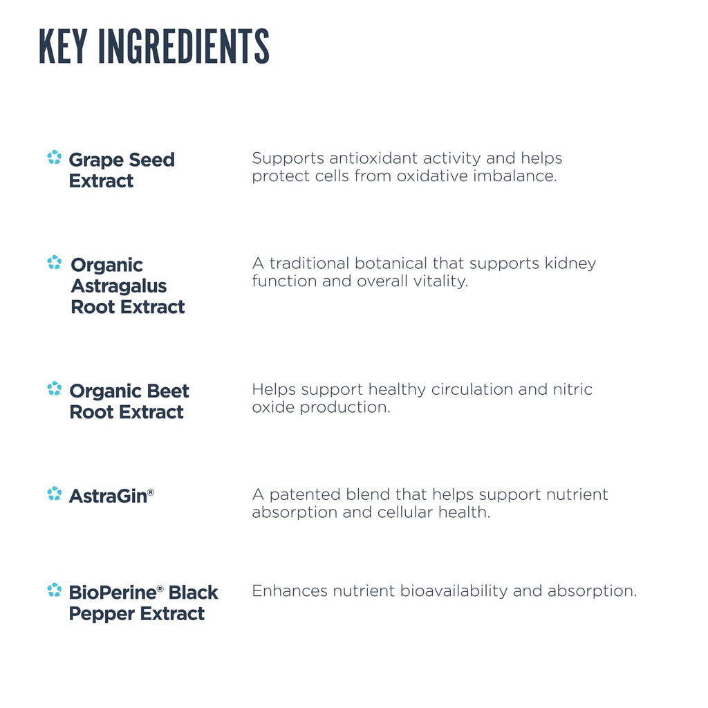 natural kidney health support formula