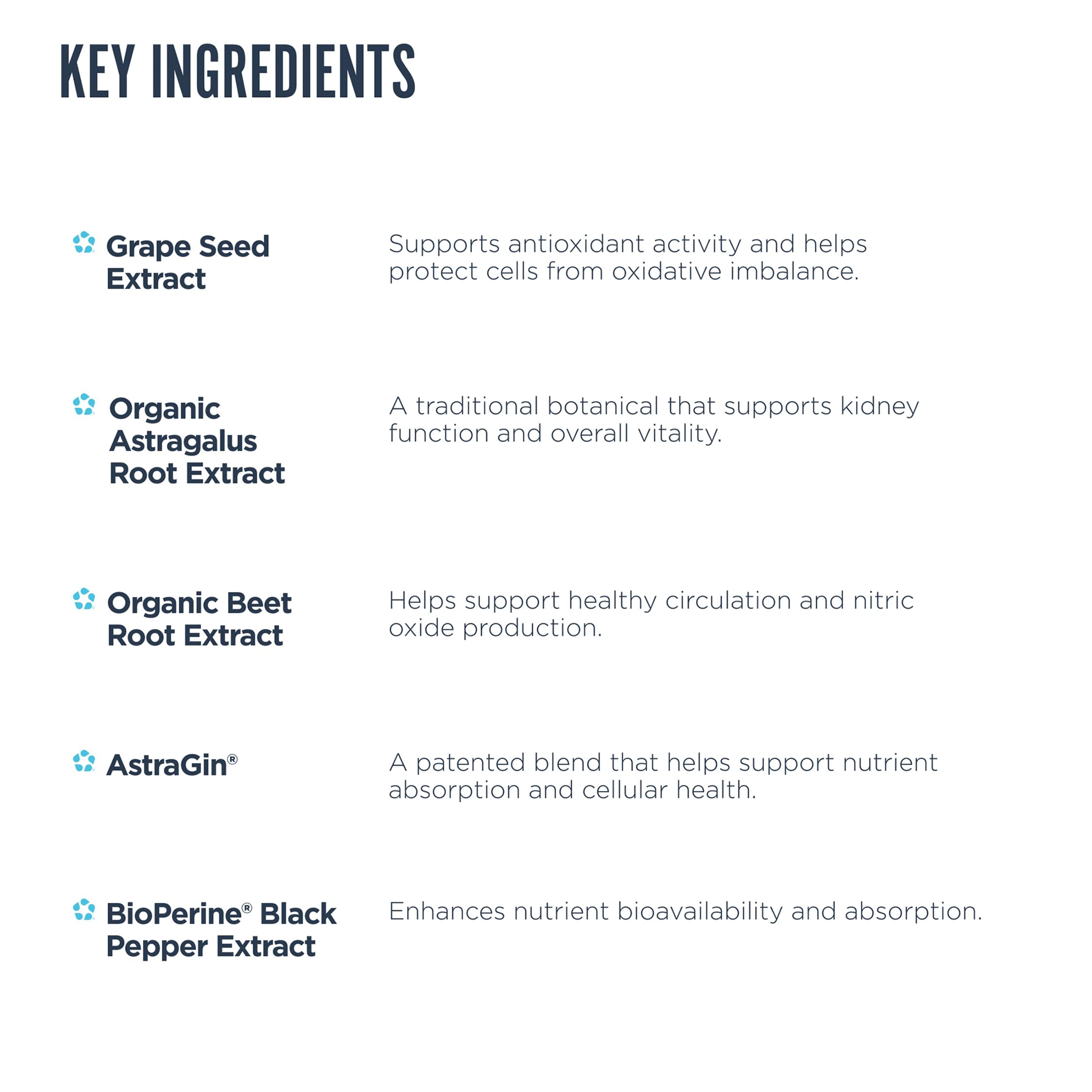 natural kidney health support formula