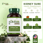 natural kidney health support
