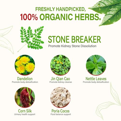 Natural kidney support Chanca Piedra tea