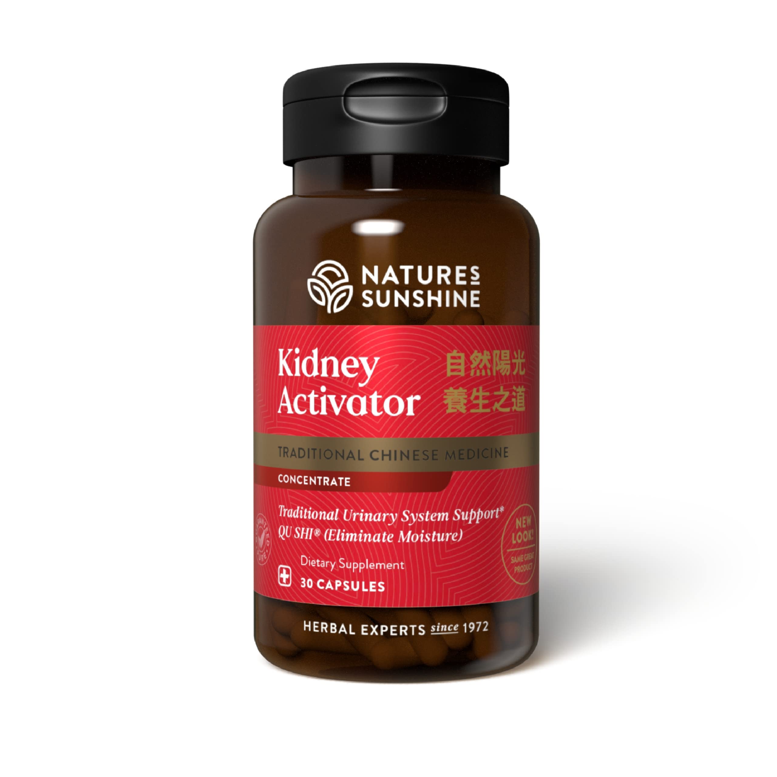 natural kidney support supplement blend
