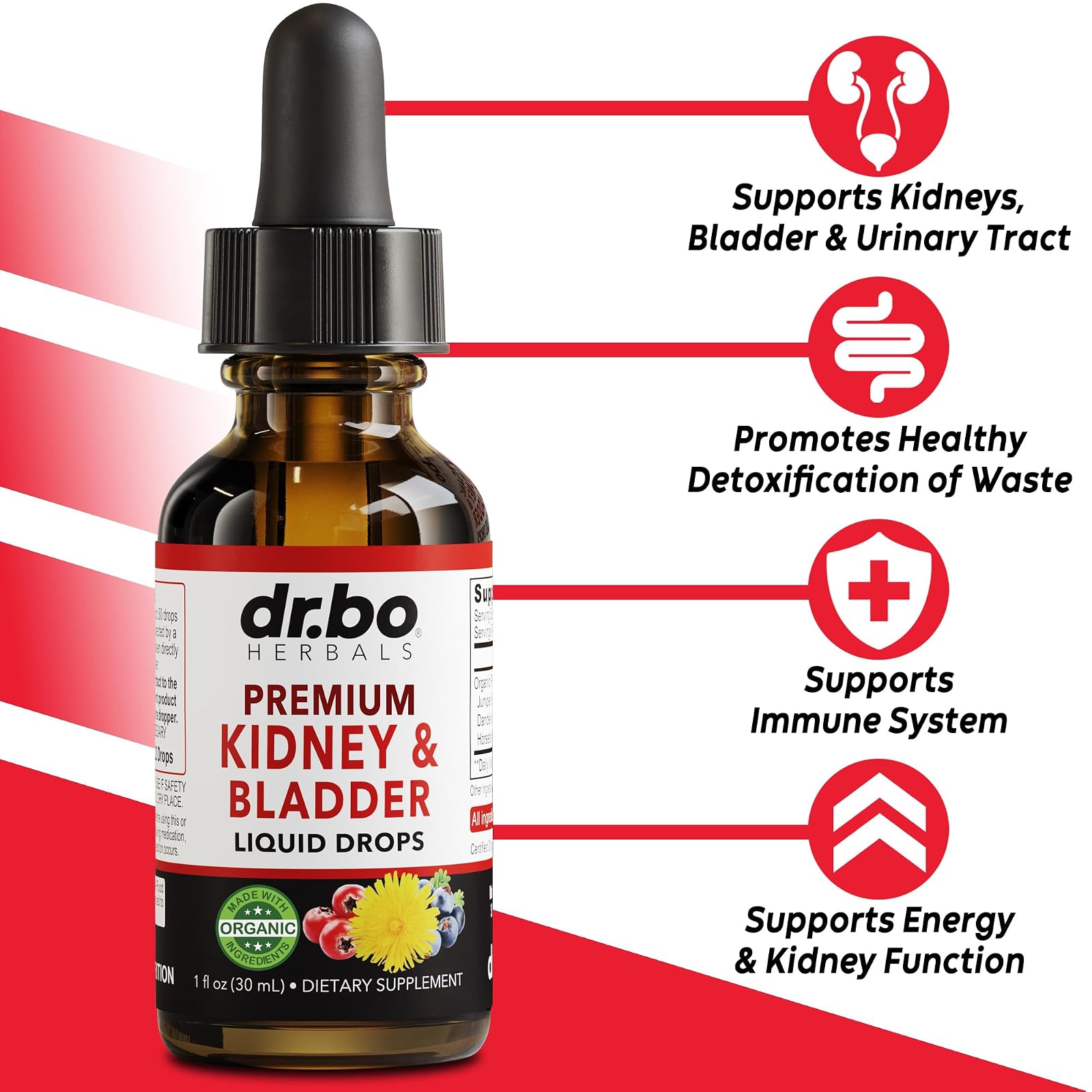natural kidney support supplement drops