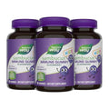 natural kids elderberry gummies