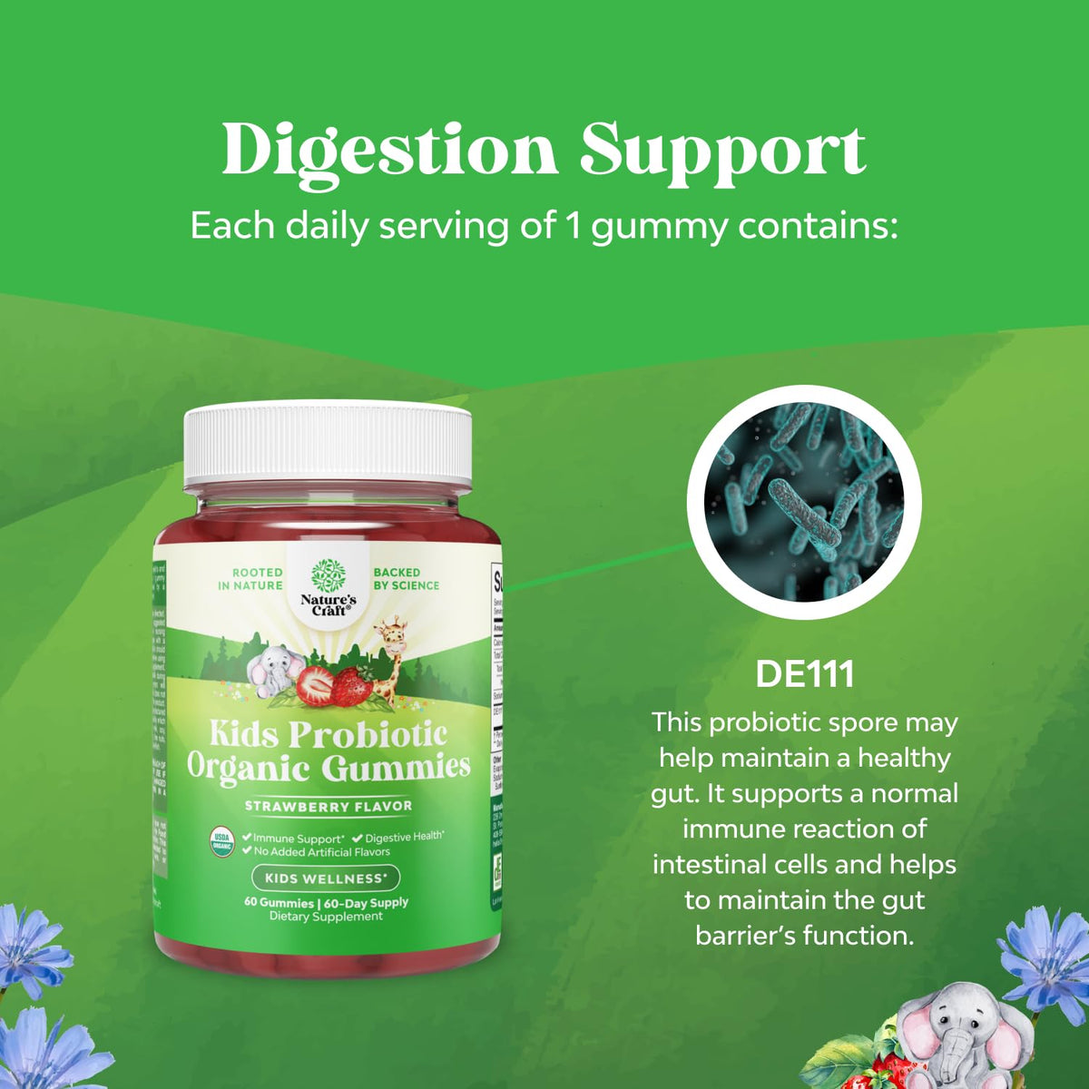 natural kids gummies for daily wellness