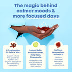 natural kids gummies for mood support