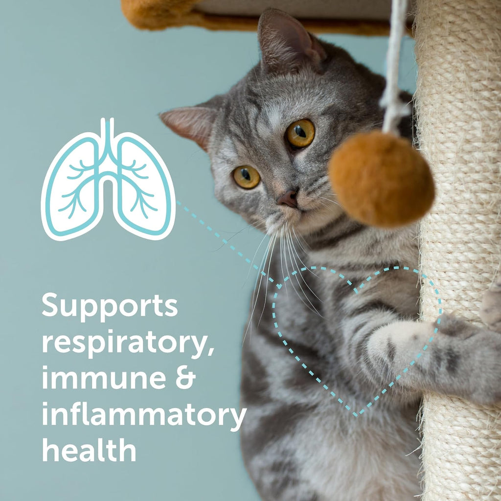 natural kids vitamins for immune health