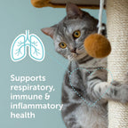natural kids vitamins for immune health