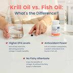 natural krill oil for joint support